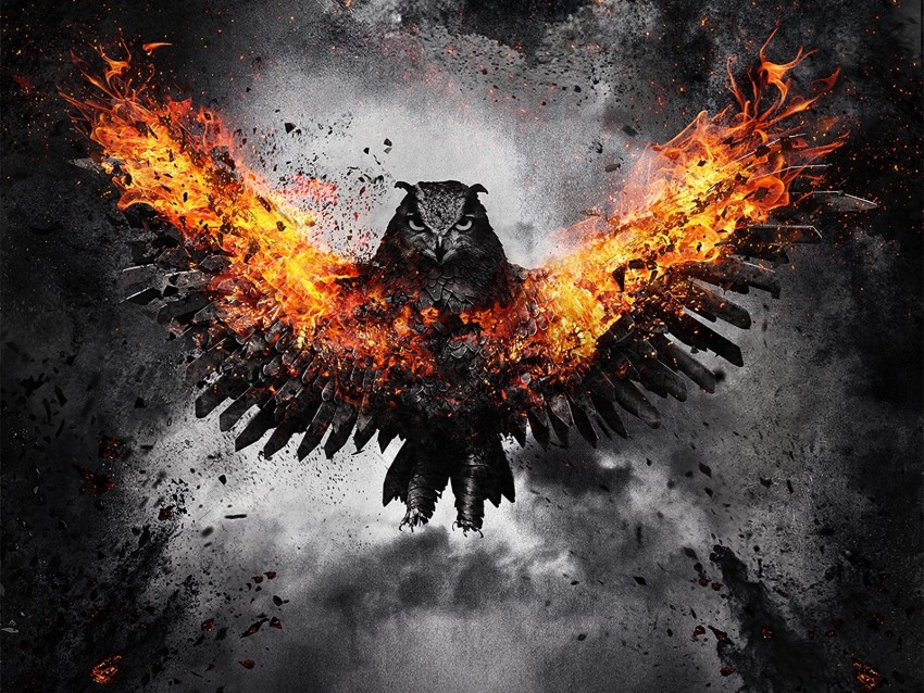 Free download | HD PNG owl bird fire wings flap 4k wallpaper | TOPpng
