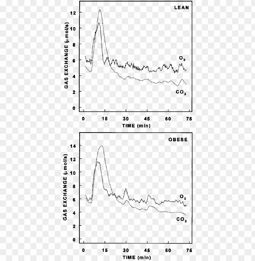 Free download | HD PNG oxygen consumption and carbon dioxide release by ...
