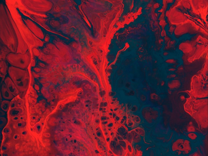 Free download | HD PNG paint spots liquid macro red 4k wallpaper | TOPpng