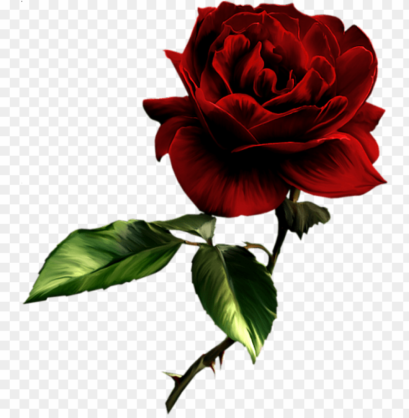 Free download | HD PNG PNG image of painted red rose with a clear ...