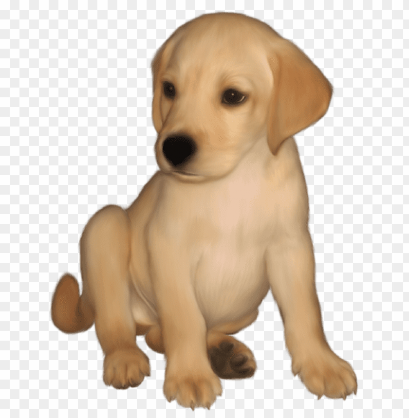 Free download | HD PNG painted small yellow labrador retriever | TOPpng