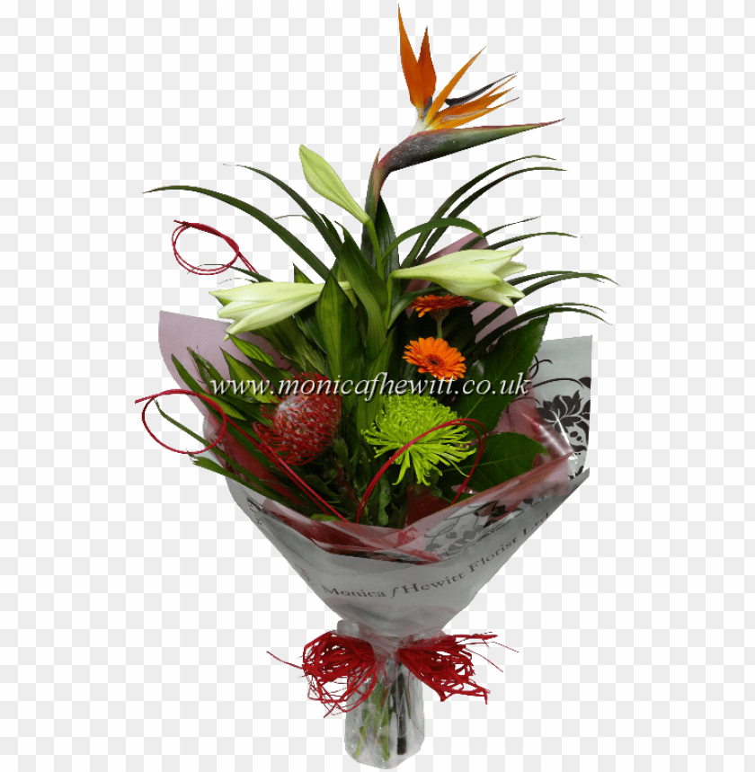 Free download | HD PNG paradise PNG transparent with Clear Background ...