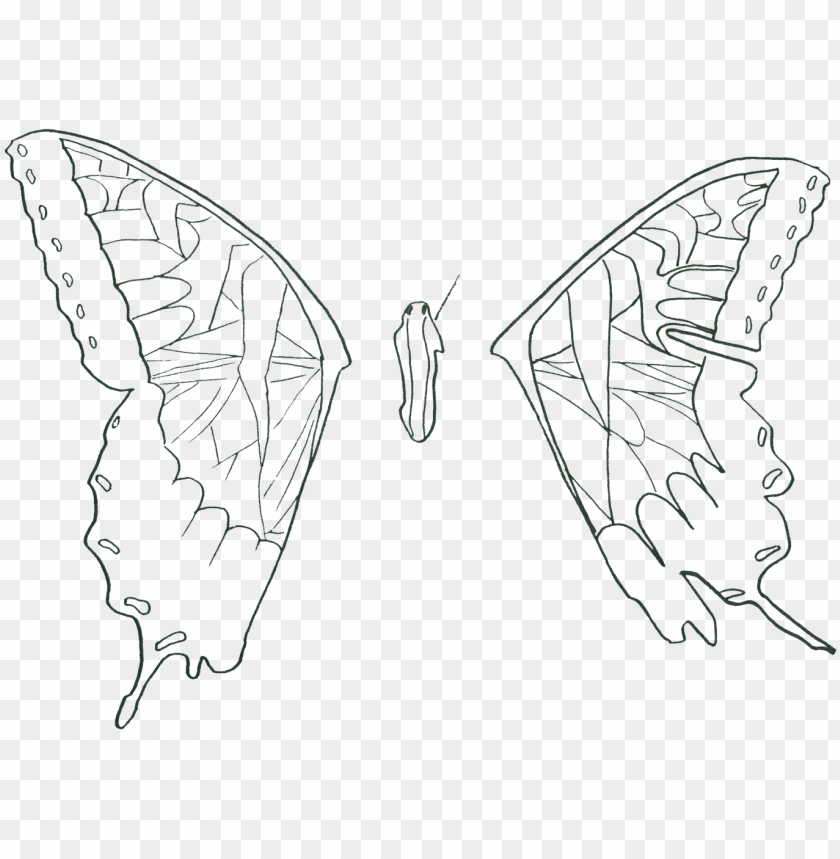 Free download | HD PNG paramore brand new eyes PNG transparent with ...