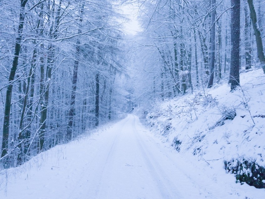 Free download | HD PNG park path winter snow trees 4k wallpaper | TOPpng