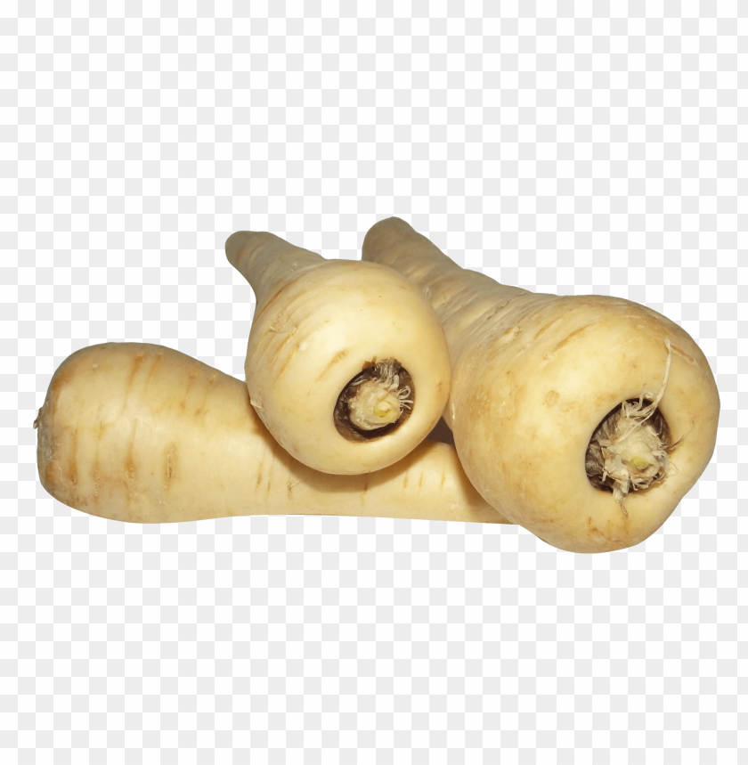 Free download | HD PNG parsnip PNG images with transparent backgrounds ...