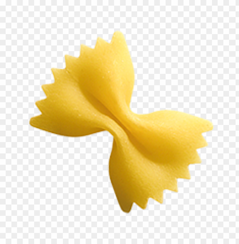 Free download | HD PNG cooked pasta with simple sauce PNG images with ...