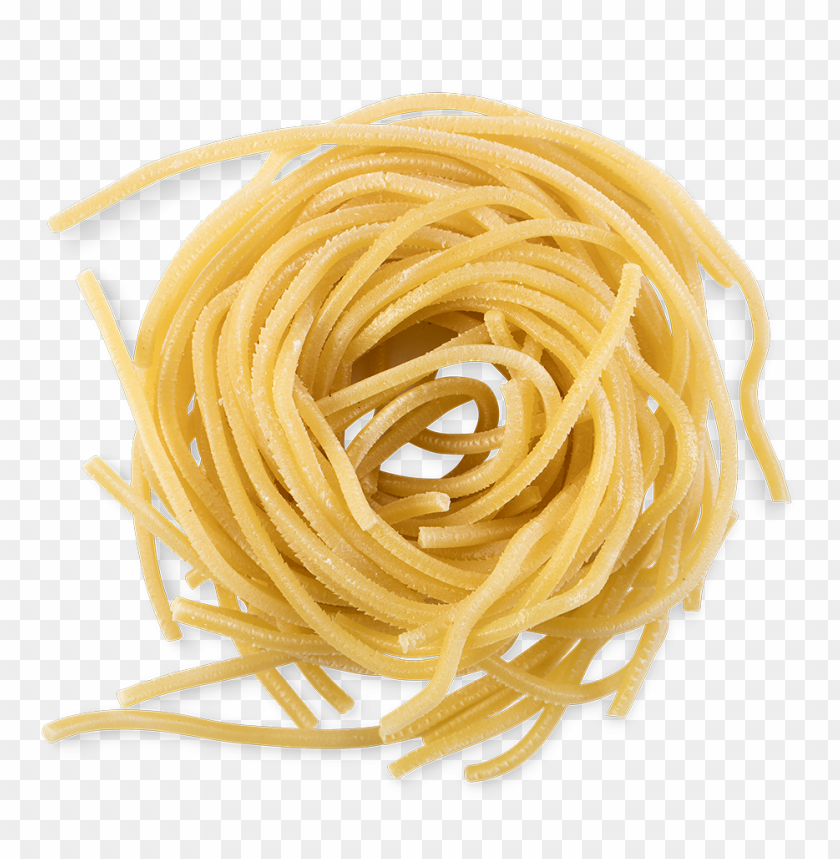 Free download | HD PNG coiled spaghetti pasta without sauce PNG images ...