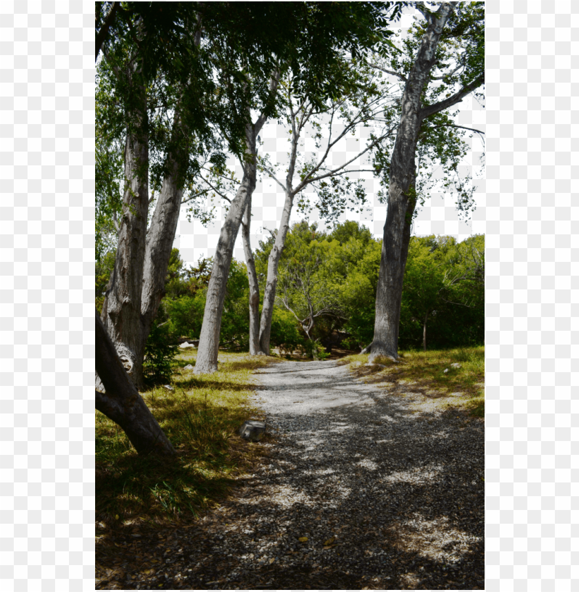Free download | HD PNG path png images Background - image ID is 130221 ...
