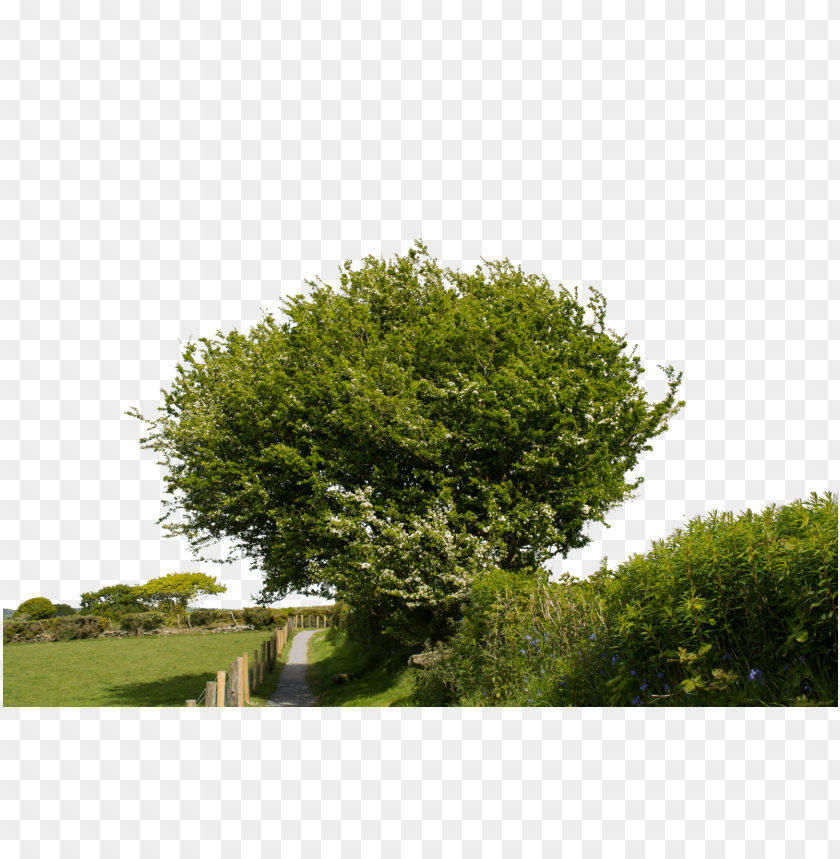 Free download | HD PNG pathway png PNG transparent with Clear ...