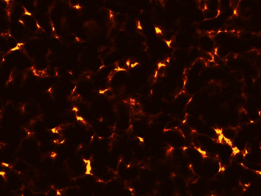 Fiery Texture cutout PNG & clipart images | TOPpng