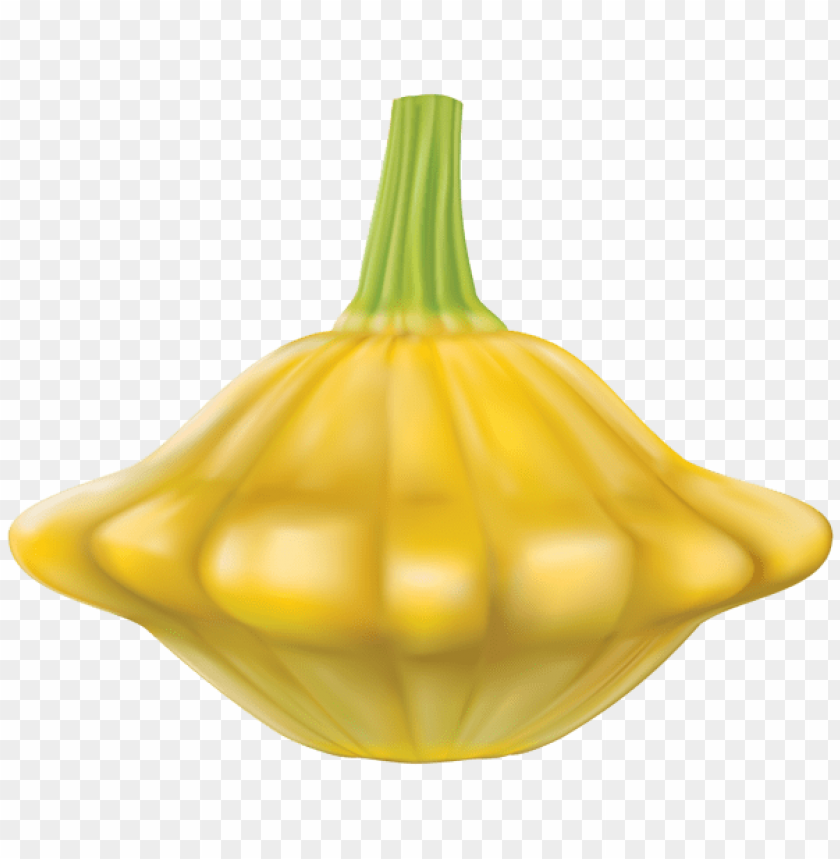 Free download | HD PNG Transparent pattypan squash with yellow ridges ...