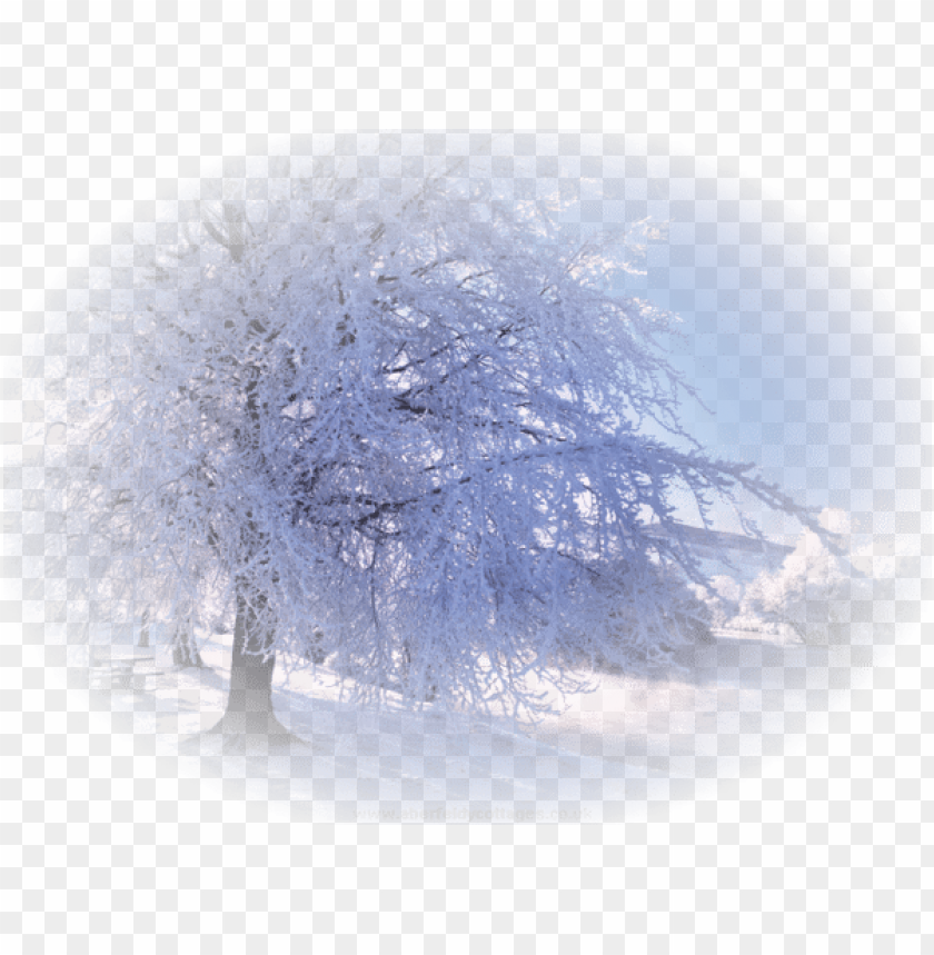 Free download | HD PNG pbvf PNG transparent with Clear Background ID ...