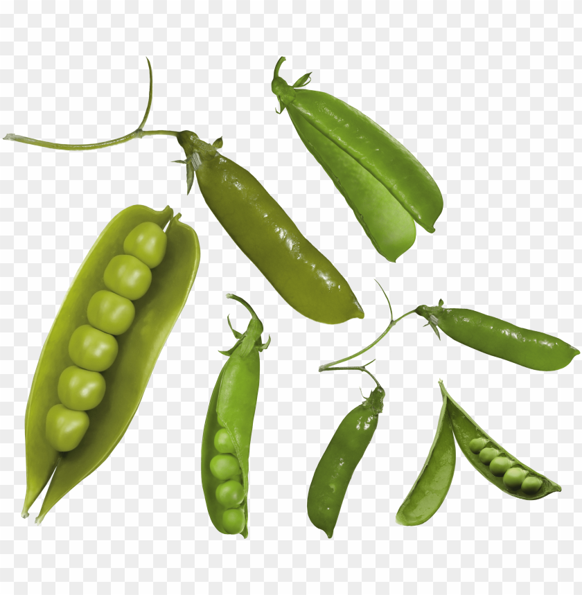 Snap Peas cutout PNG & clipart images | TOPpng