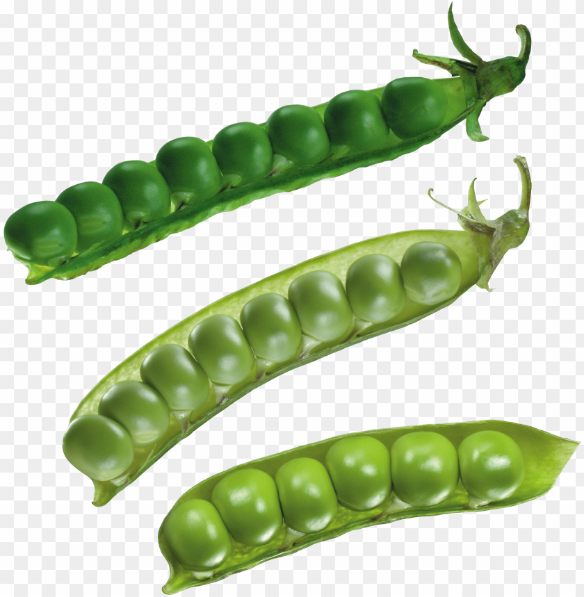 Free download | HD PNG pea PNG images with transparent backgrounds ...