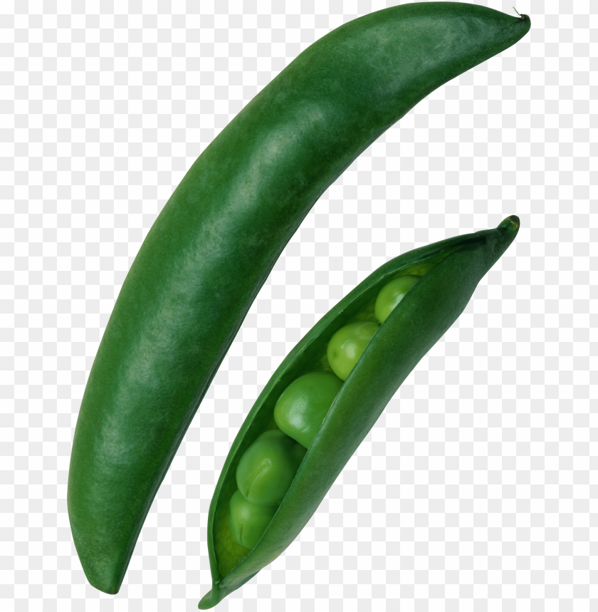 Free download | HD PNG pea PNG images with transparent backgrounds ...