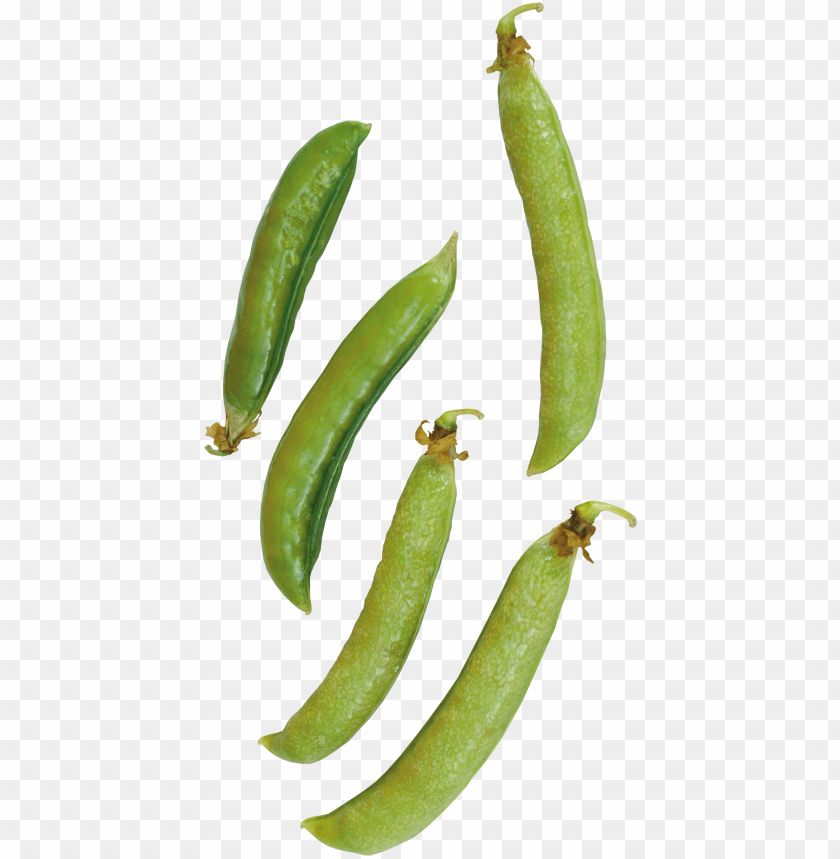 Free download | HD PNG pea PNG images with transparent backgrounds ...