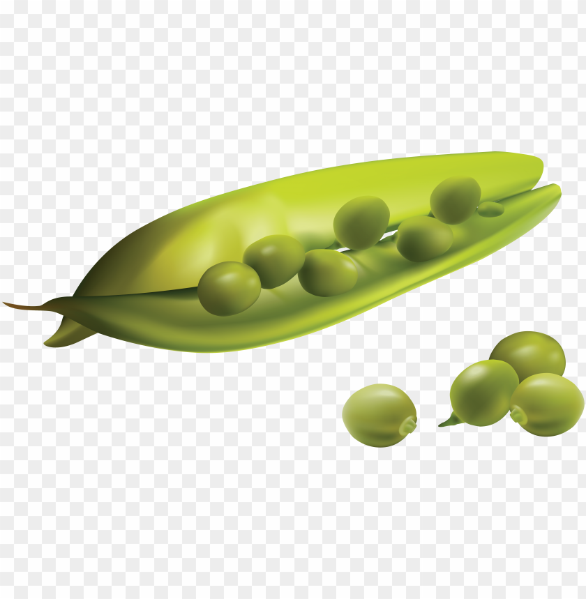 Free download | HD PNG open pea pod with loose peas illustration ...