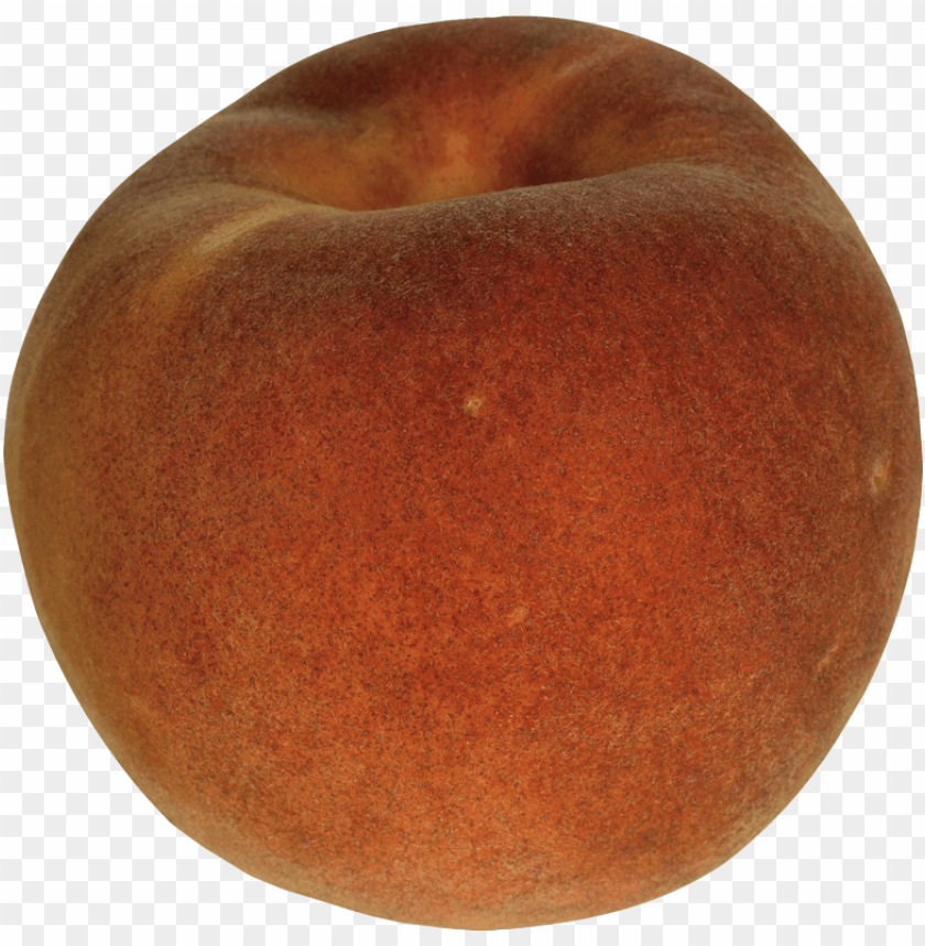 Free download | HD PNG large peach with smooth skin png PNG images with ...