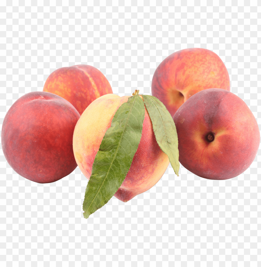 Free download | HD PNG peach PNG images with transparent backgrounds ...