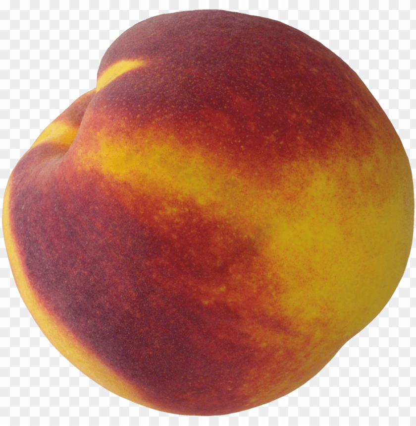 Free download | HD PNG peach PNG images with transparent backgrounds ...