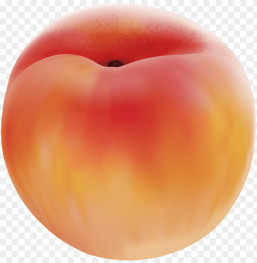 Free download | HD PNG round peach with blushed skin | TOPpng
