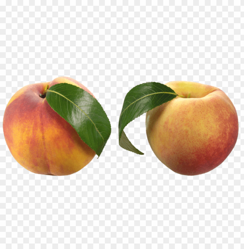 Free download | HD PNG whole and half peaches with leaves | TOPpng