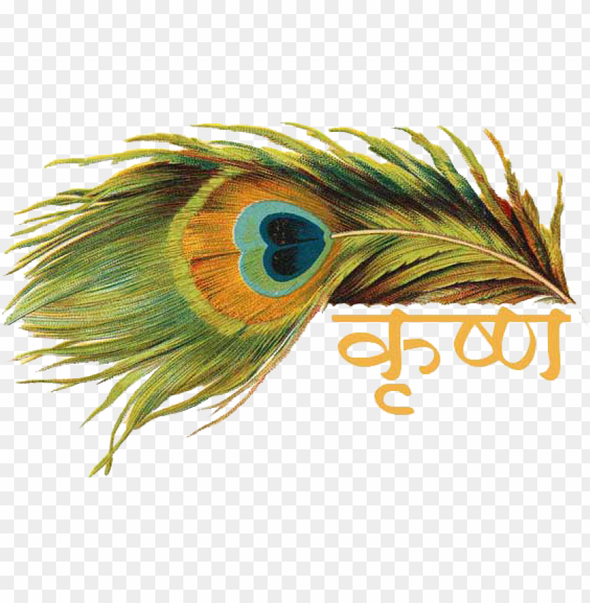 Free download | HD PNG peacock krishna r inseparable in indian ...