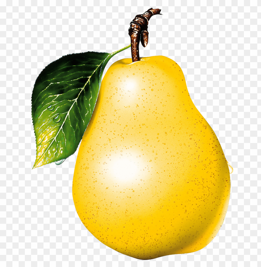 Free download | HD PNG golden pear with natural stem png PNG images ...