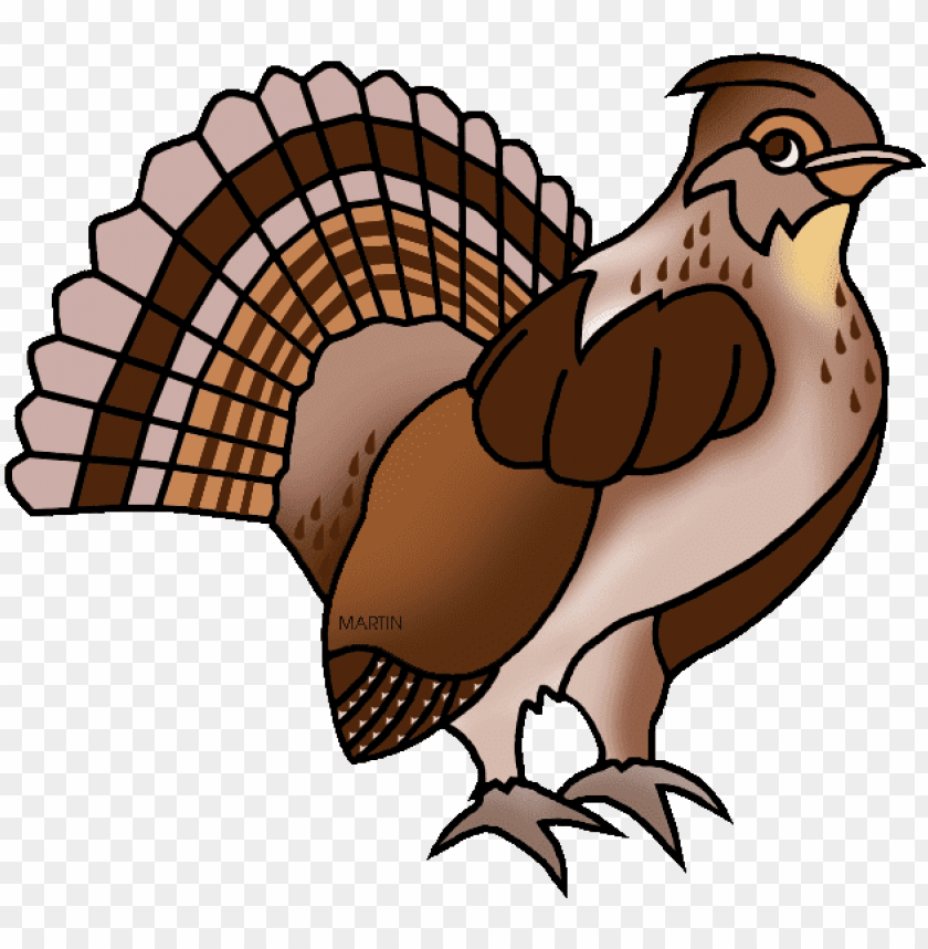 Free download | HD PNG pennsylvania state bird ruffed grouse PNG ...