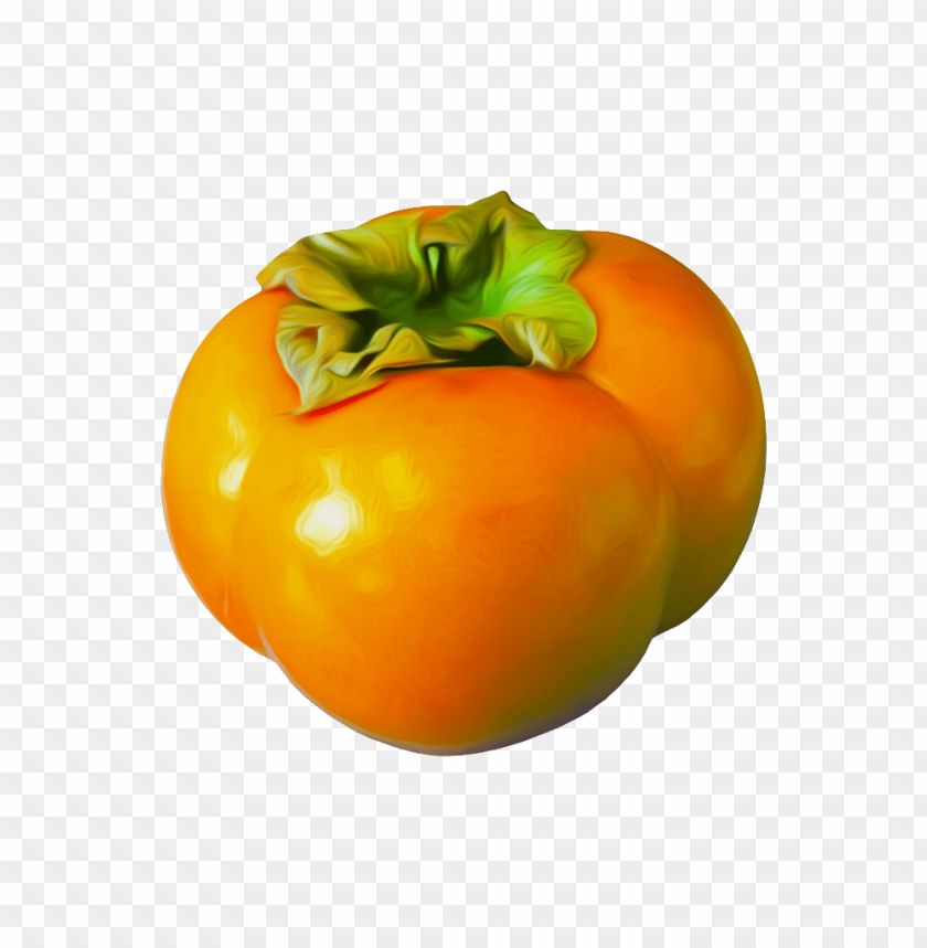 Free download | HD PNG persimmons in various stages of ripeness png PNG ...