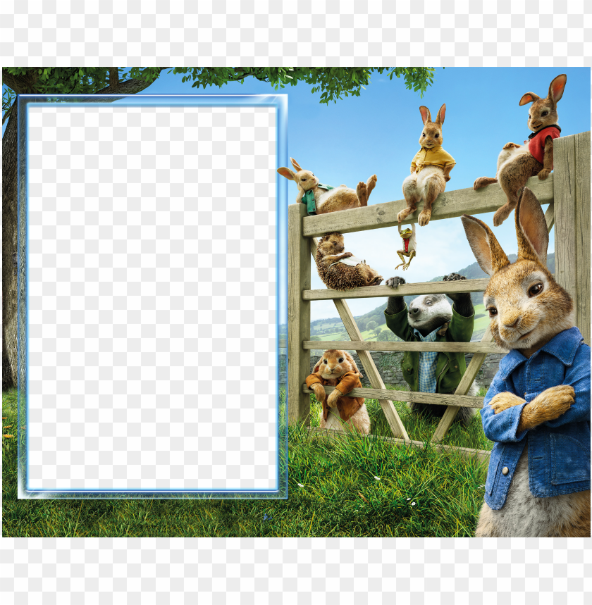 Free download | HD PNG peter rabbitframe background best stock photos ...