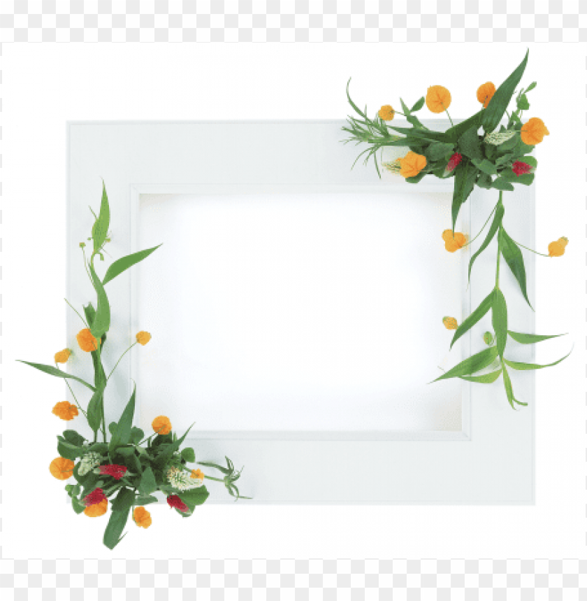 Free download | HD PNG photo frame 139 background best stock photos ...