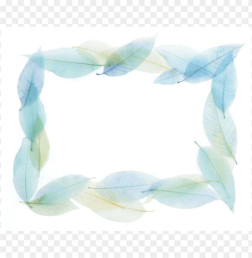 Free download | HD PNG photo frame 252 background best stock photos ...