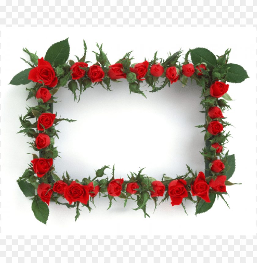 Free download | HD PNG photo frame 253 background best stock photos ...