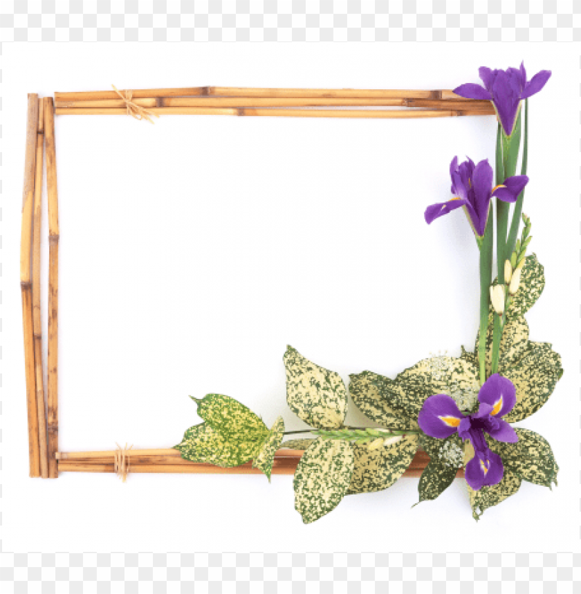 Free download | HD PNG photo frame 259 background best stock photos ...