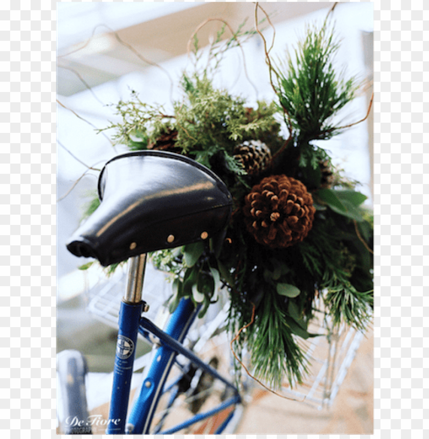 Free download | HD PNG photography PNG transparent with Clear ...
