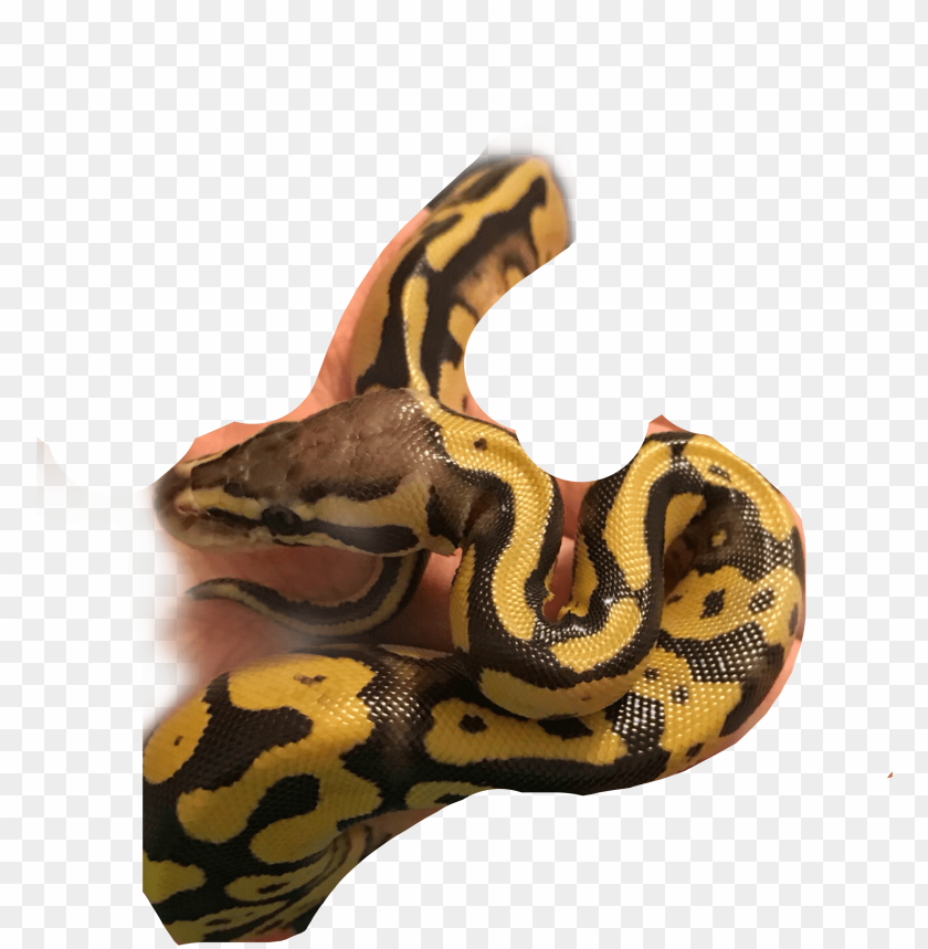 Free download | HD PNG picsart photo studio PNG transparent with Clear ...