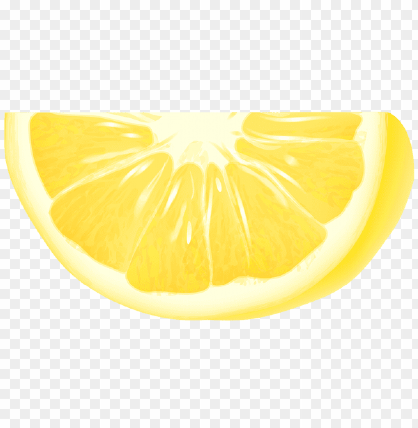 Free download | HD PNG half lemon with glossy texture | TOPpng