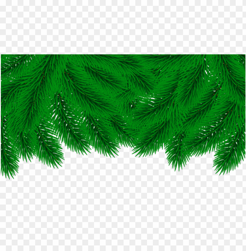 Free download | HD PNG pine border decor transparent PNG Images 41420 ...