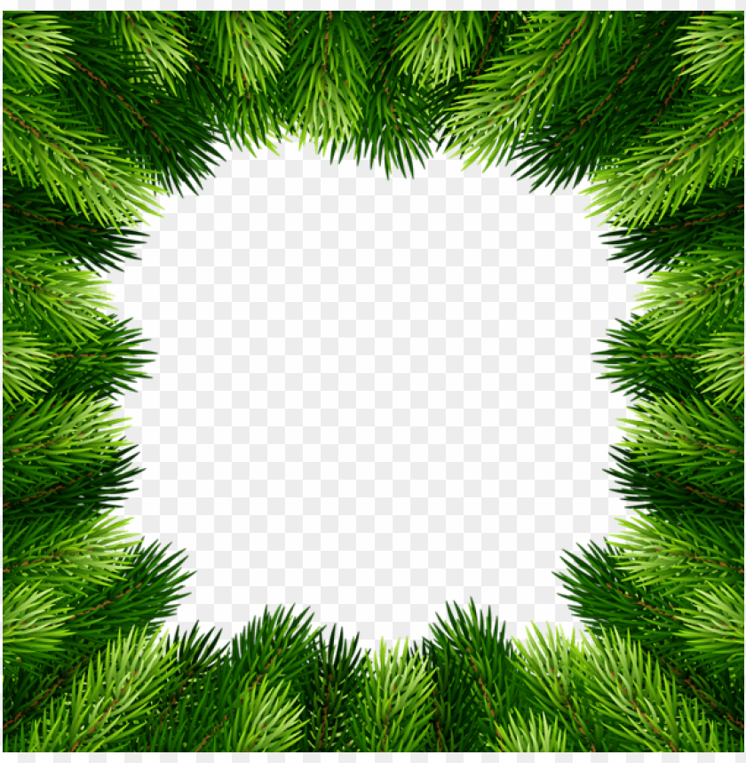 Free download | HD PNG pine branches border frame PNG Images 41414 | TOPpng