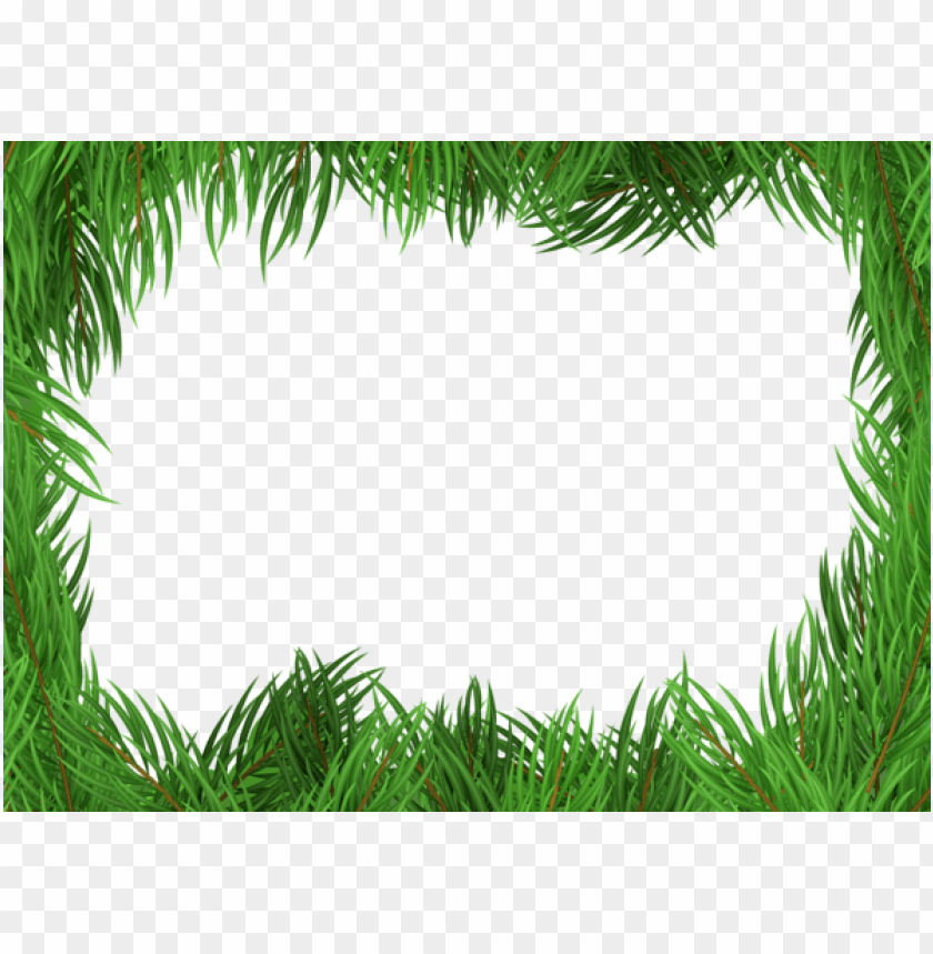 Free download | HD PNG pine frame PNG Images 41419 | TOPpng