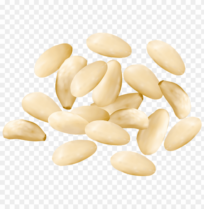 Free download | HD PNG pine nuts clipart png photo - 54533 | TOPpng