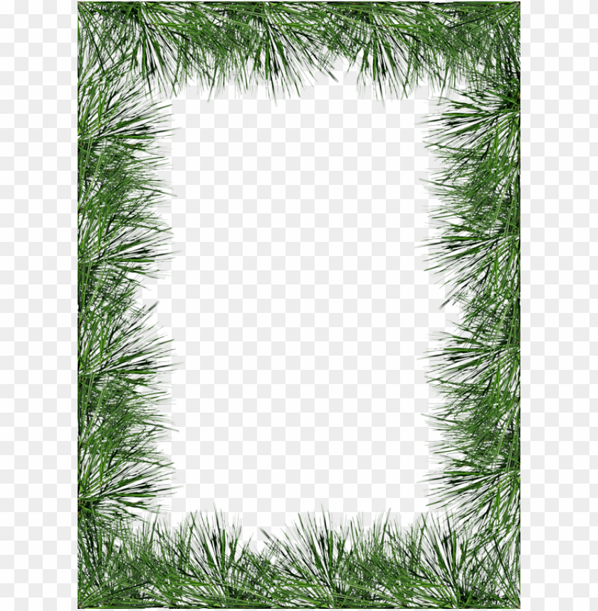 Free download | HD PNG pine photo frame background best stock photos ...