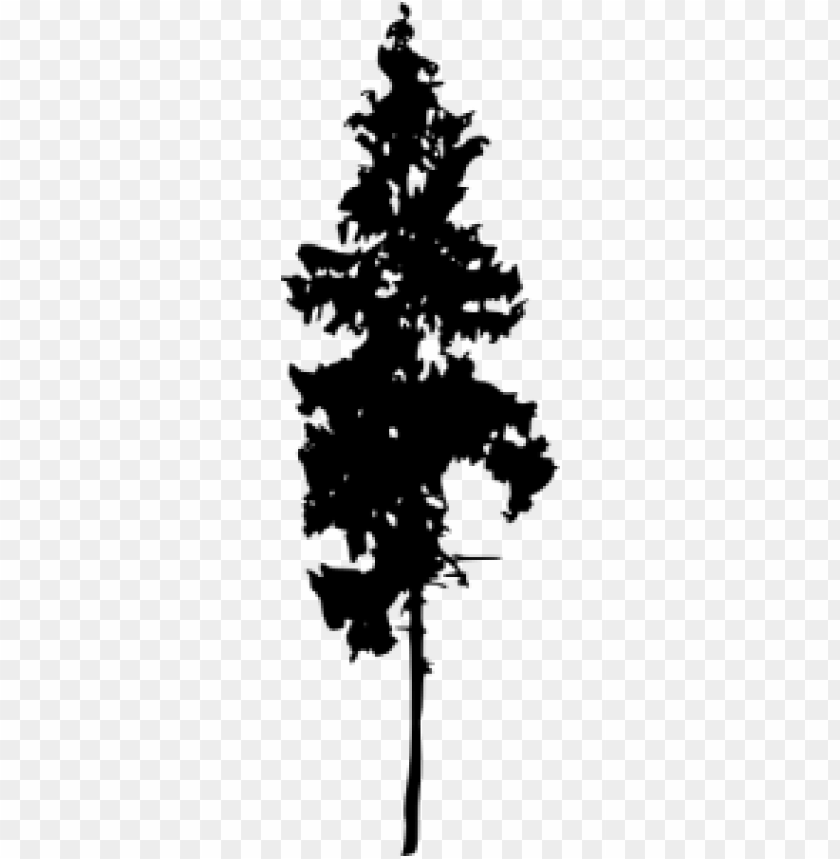 Free download | HD PNG Transparent silhouette of a tall slender tree ...