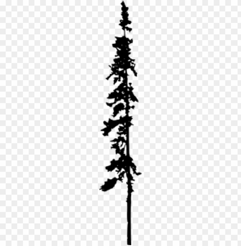 Free download | HD PNG Transparent pine tree silhouette PNG Image - ID ...