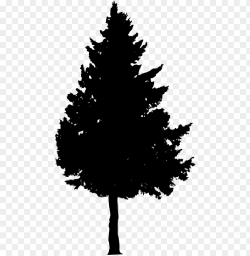Free download | HD PNG Transparent silhouette of a tall slender tree ...
