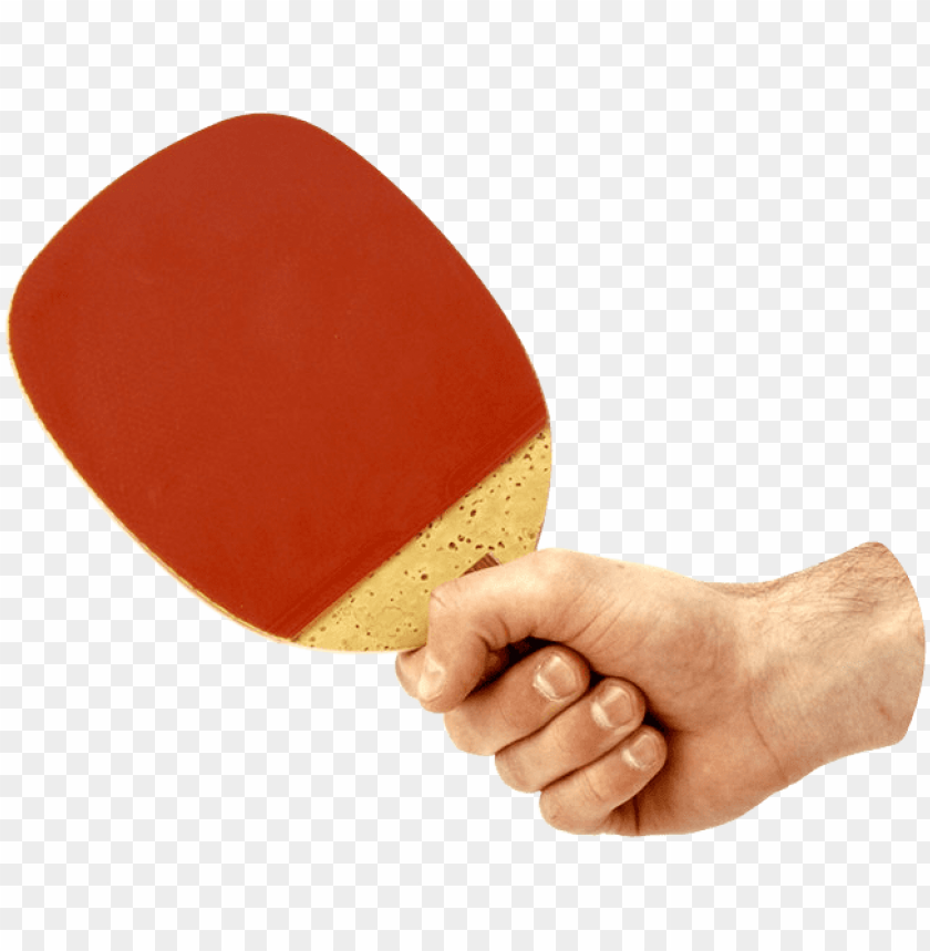 Free download | HD PNG hand holding red ping pong paddle png | TOPpng