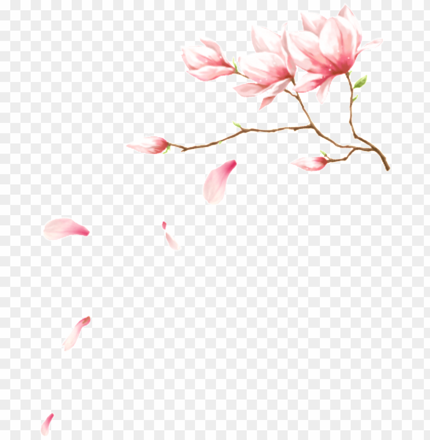 Free download | HD PNG pink PNG transparent with Clear Background ID ...