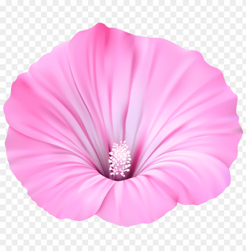 Free download | HD PNG PNG image of pink flower with a clear background ...