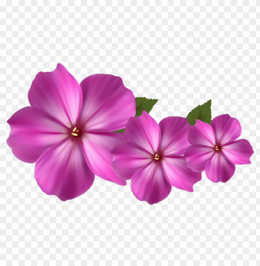 Free download | HD PNG pink flower decor clipart png photo - 45042 | TOPpng